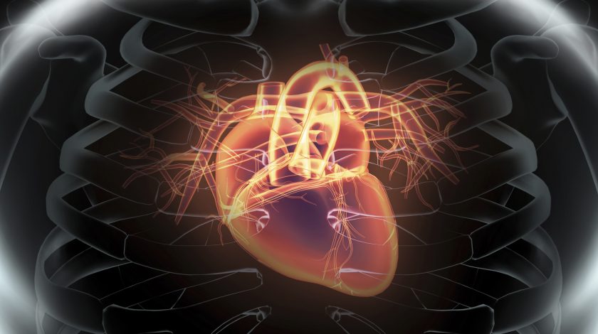 Researchers receive $1.5 million each to study extracellular matrix for ...