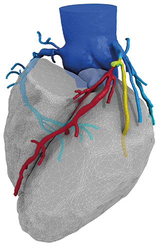 HeartFlow Announces Four Blue Cross Blue Shield Companies Issue ...