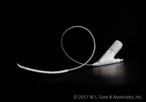 Gore Announces First-in-Human Use of GORE® TAG® Conformable Thoracic ...