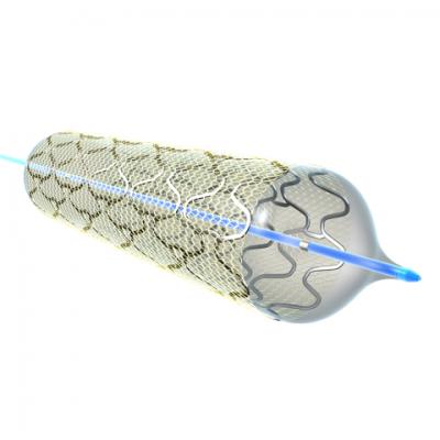 InspireMD’s CGuard EPS Featured at the SBHCI Congress in Brazil ...