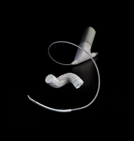 Gore Introduces GORE® TAG® Conformable Thoracic Stent Graft with ...