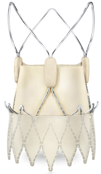 Boston Scientific Launches ACURATE neo2™ Aortic Valve System in Europe ...