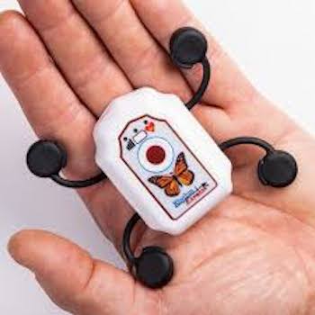 VivaQuant Introduces Smallest One-Piece Mobile Cardiac Telemetry Device ...