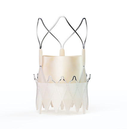 Late-Breaking Post-Market Study Data Reinforce Clinical Procedural ...