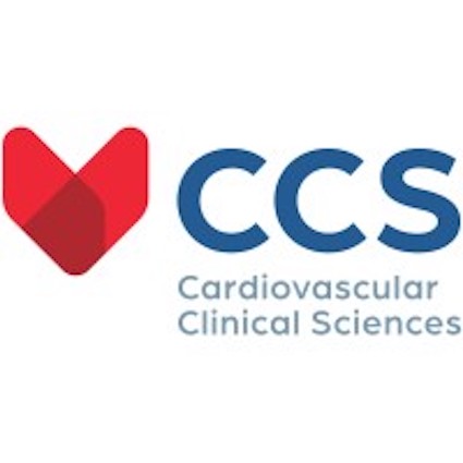 Cardiovascular Clinical Sciences Names Dr. Jing Dai as New Head of ...