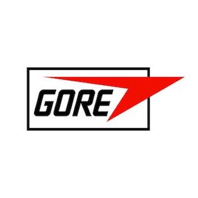 GORE RECEIVES FDA APPROVAL FOR BREAKTHROUGH ENDOVASCULAR DEVICE IN ...